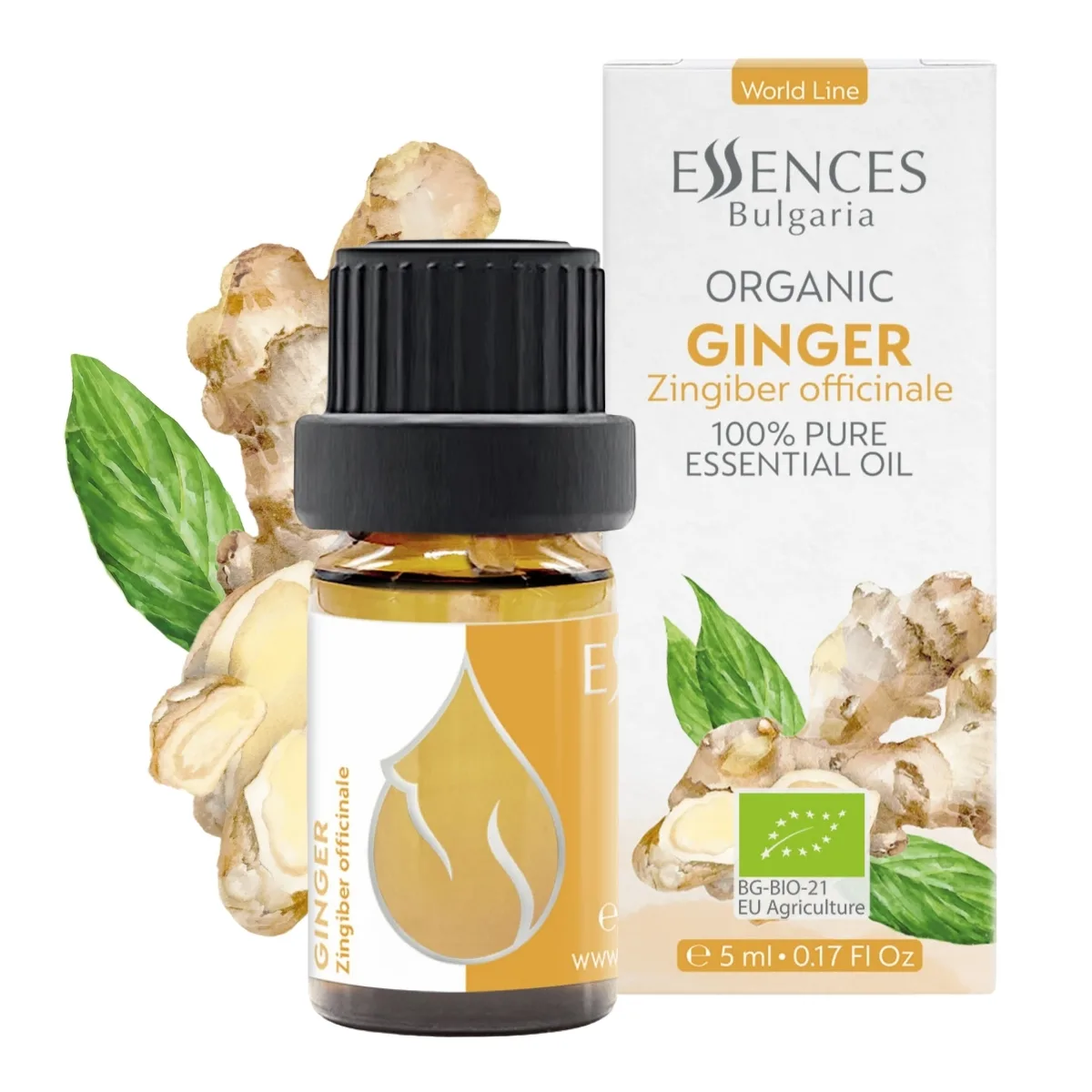 Organic Ginger Essential Oil (5ml) – Essences Bulgaria